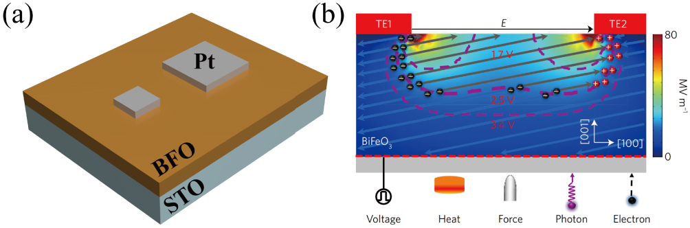 Ferroelectric domain wall memory - IOPscience