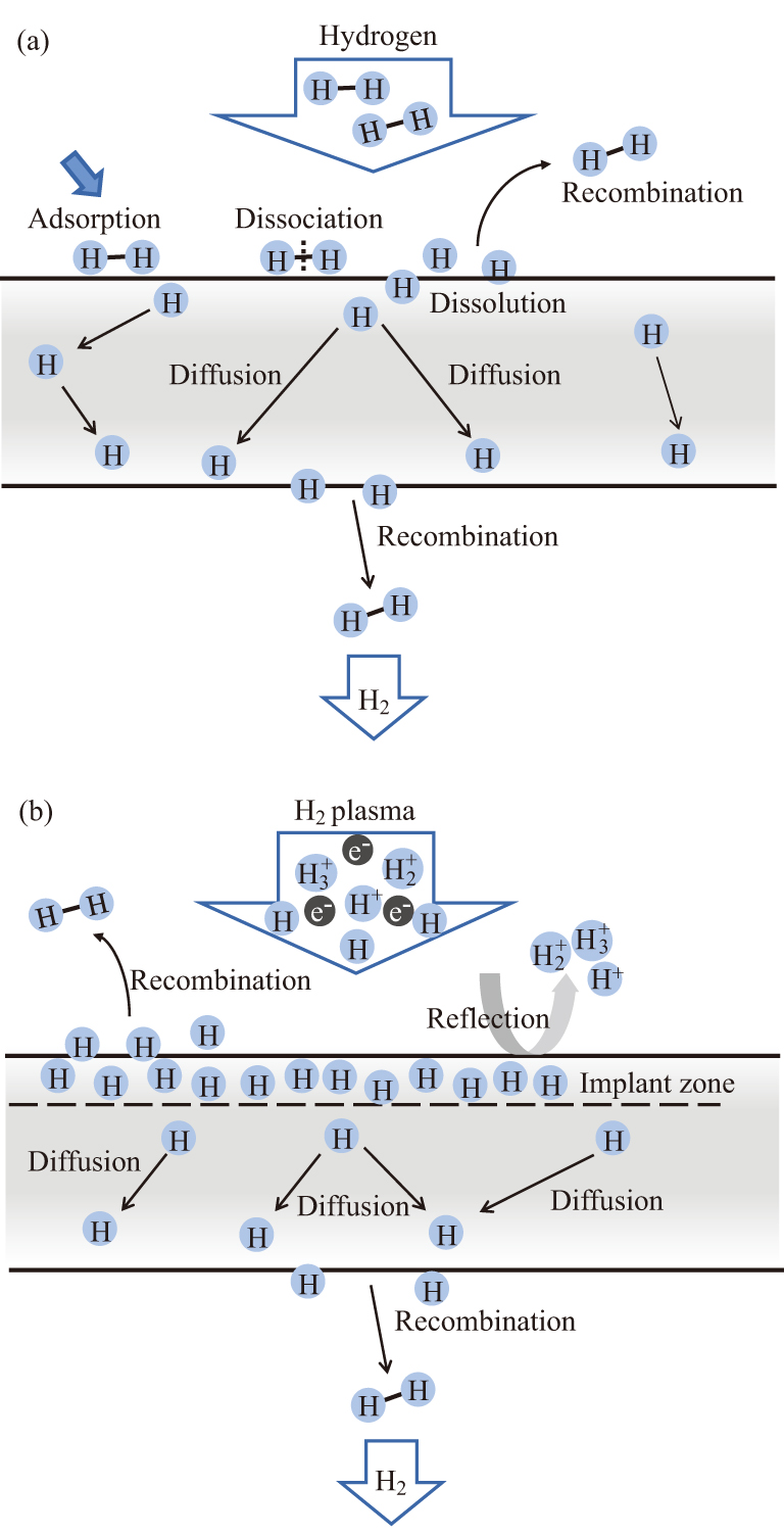 Gas- and plasma-driven hydrogen permeation behavior of stagnant eutectic-solid GaInSn/Fe double ...