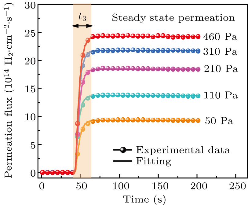Gas- and plasma-driven hydrogen permeation behavior of stagnant ...