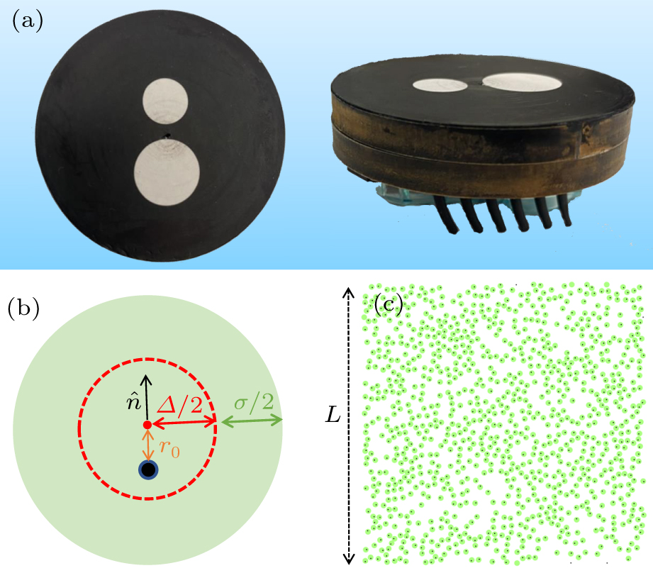 Transition from isotropic to polar state of self-driven eccentric disks ...