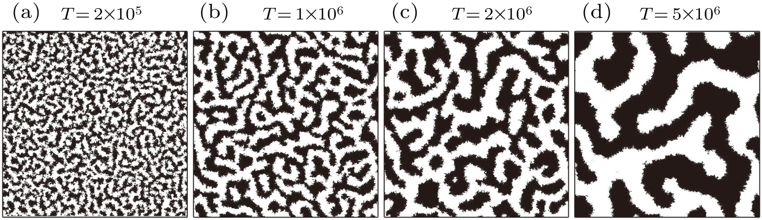 Turing/Turing-like patterns: Products of random aggregation of spatial ...
