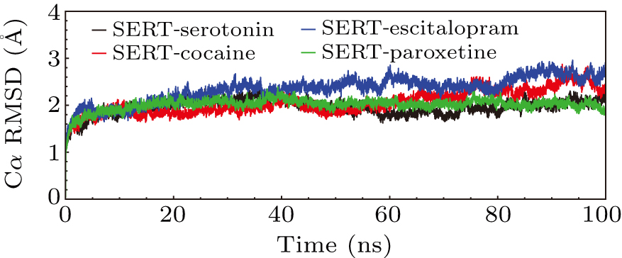 Exploring unbinding mechanism of drugs from SERT via molecular dynamics ...