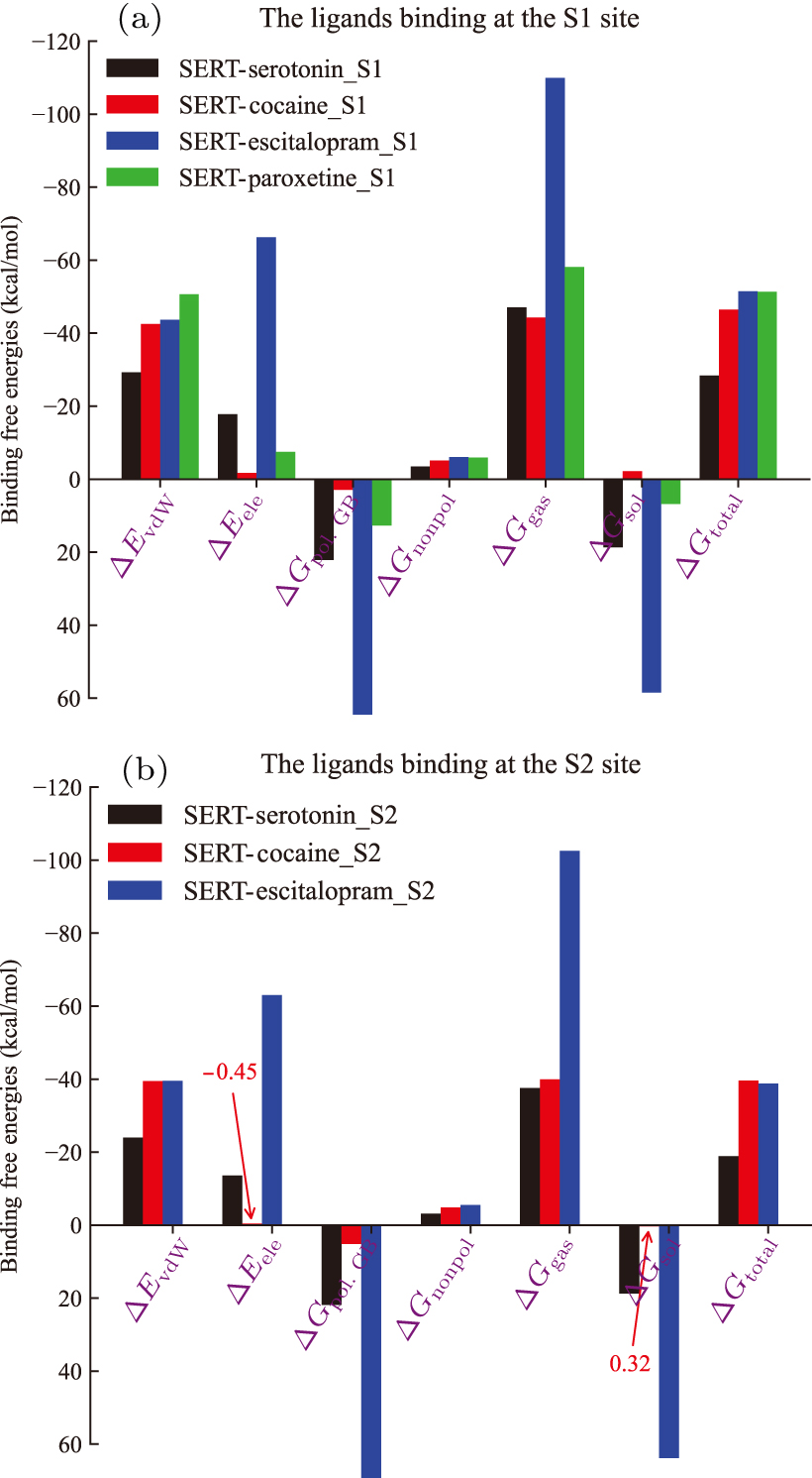 Exploring unbinding mechanism of drugs from SERT via molecular dynamics ...