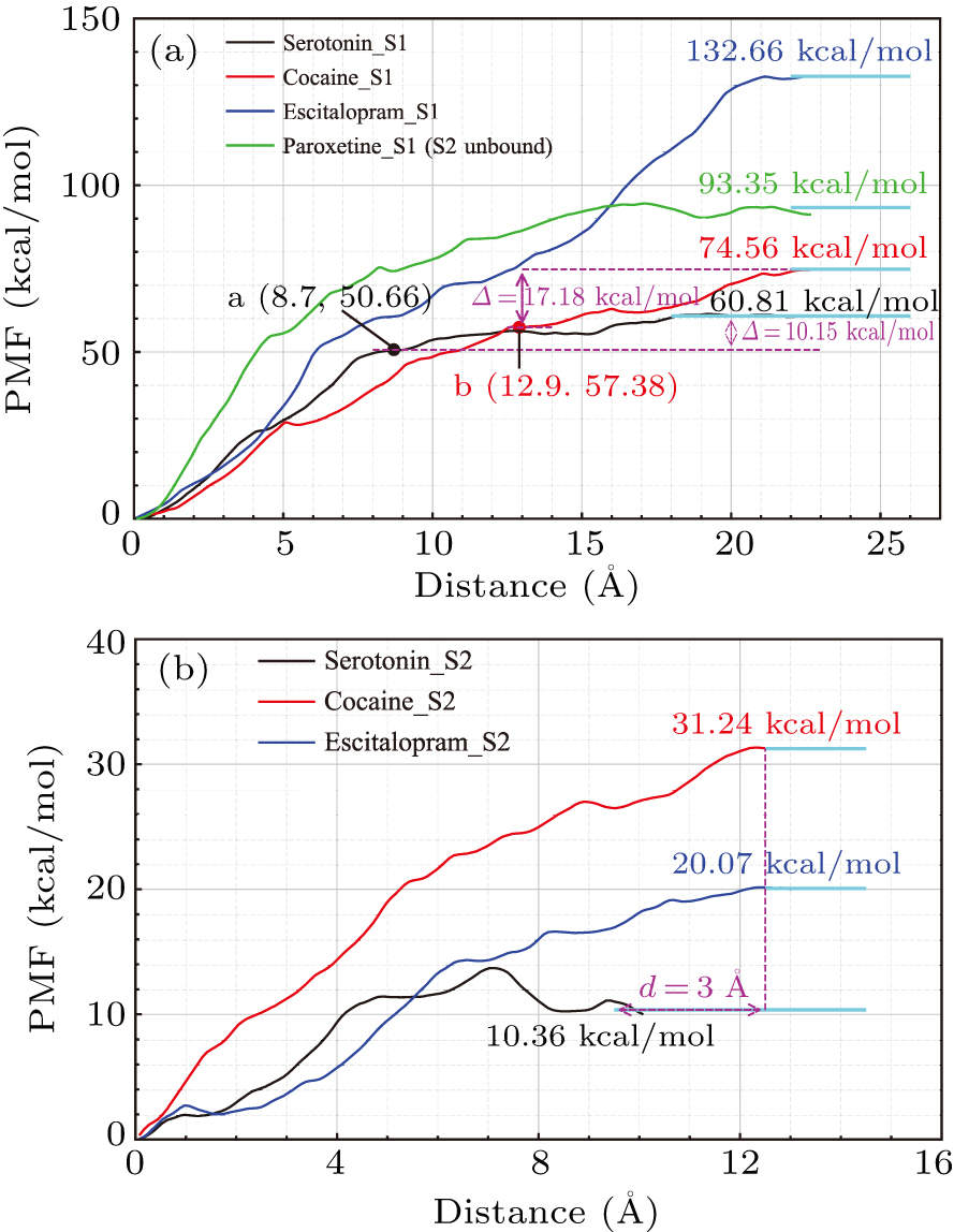 Exploring unbinding mechanism of drugs from SERT via molecular dynamics ...