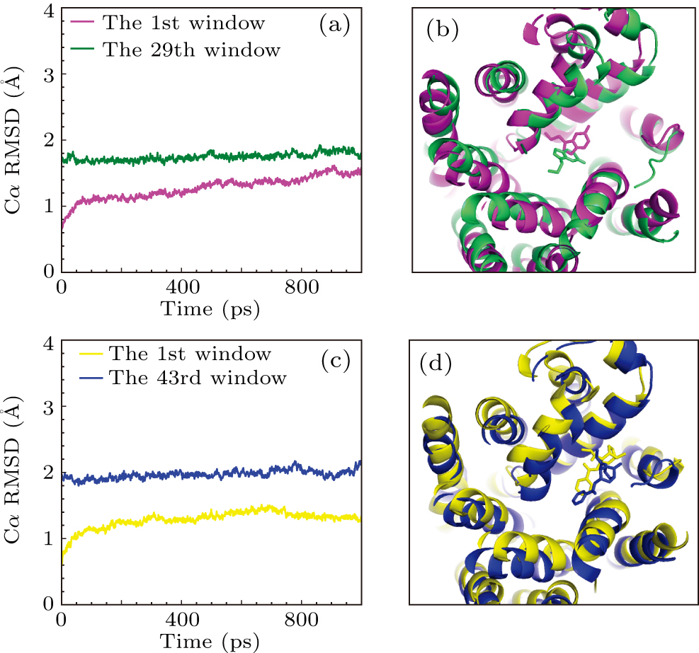 Exploring unbinding mechanism of drugs from SERT via molecular dynamics ...