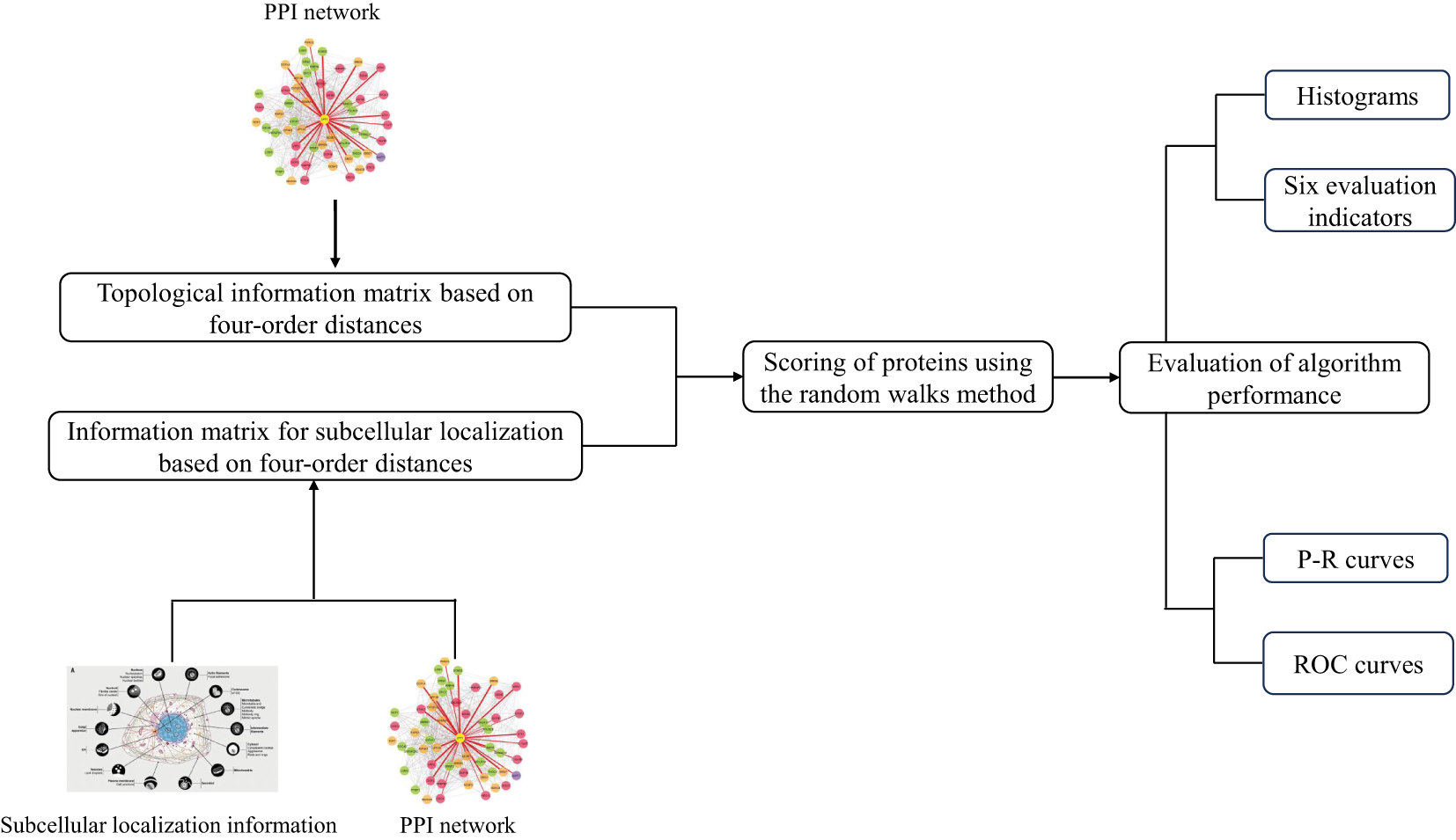 Essential proteins identification method based on four-order distances ...