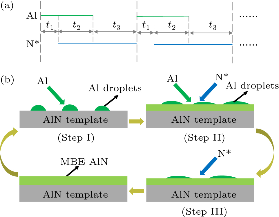 Pit density reduction for AlN epilayers grown by molecular beam epitaxy ...