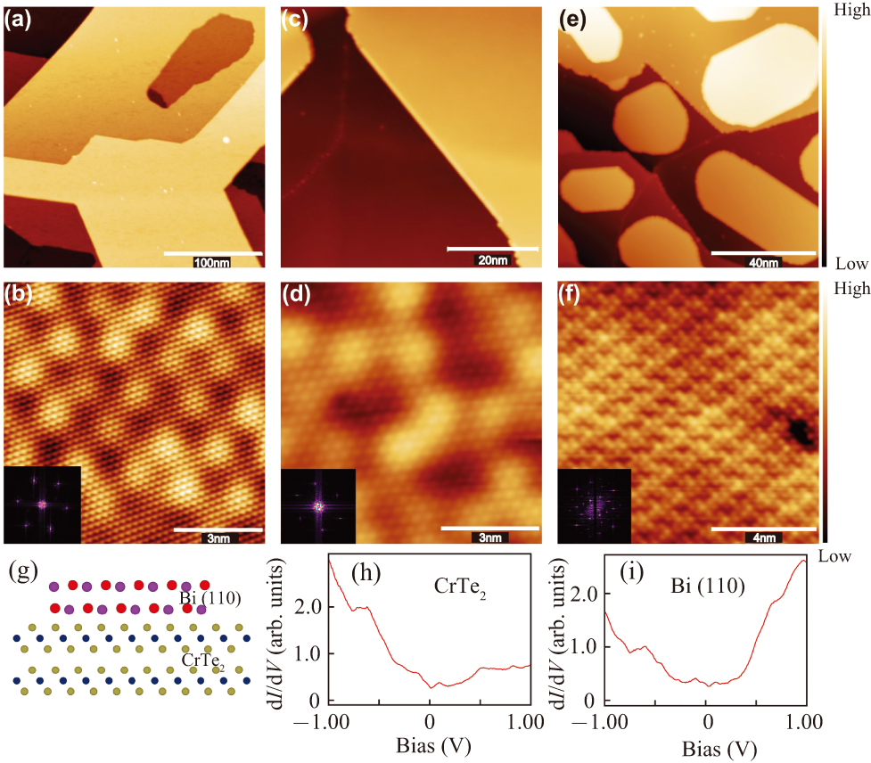 Growth and characterization of Bi(110)/CrTe2 heterostructures ...