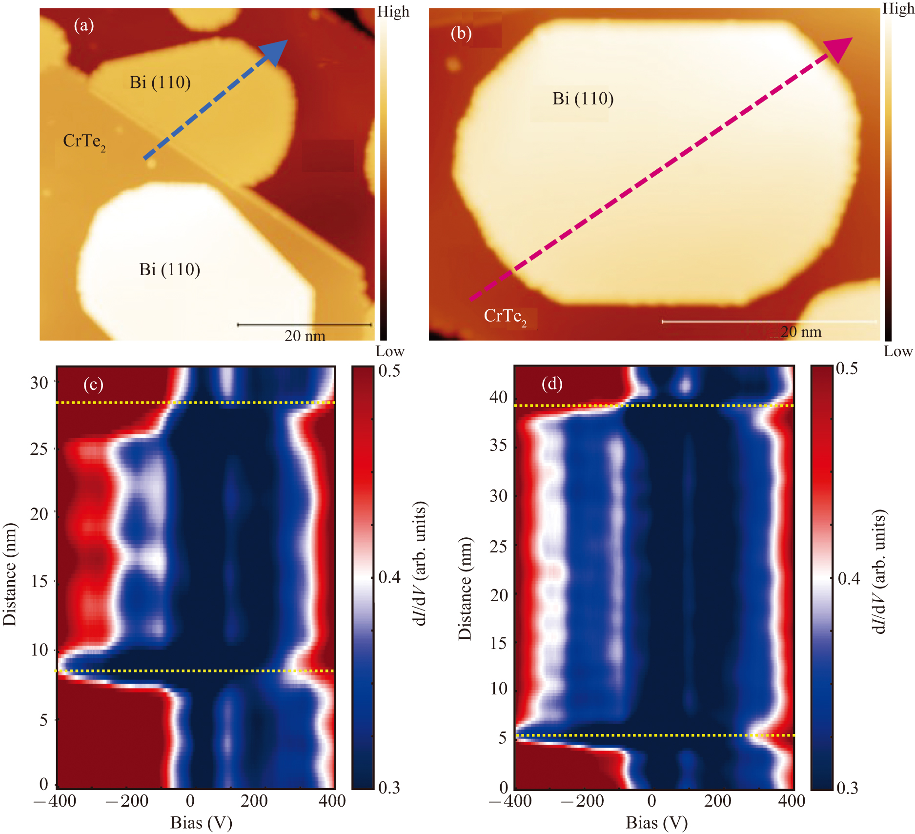 Growth and characterization of Bi(110)/CrTe2 heterostructures ...