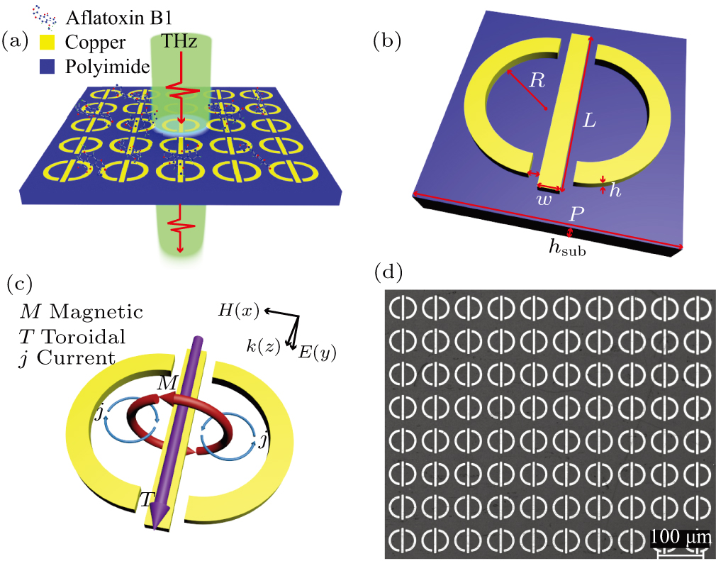 Terahertz toroidal dipole metamaterial sensors for detection of ...