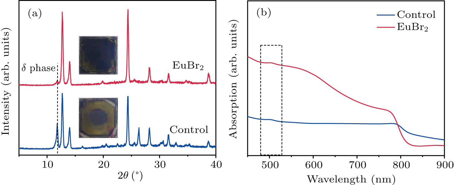 Enhanced stability of FA-based perovskite: Rare-earth metal compound ...