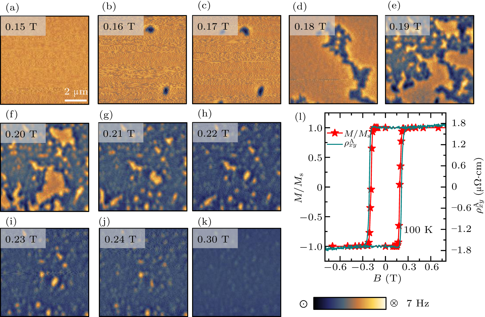 Magnetic domain structures in ultrathin Bi2Te3/CrTe2 heterostructures ...