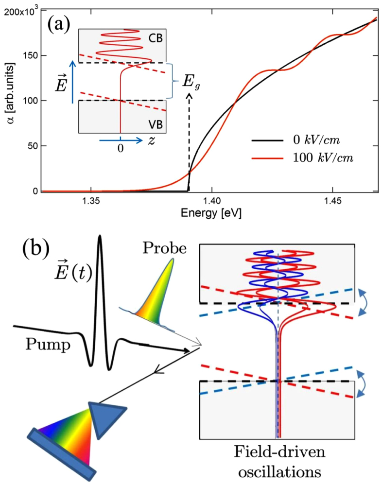 Theory and applications of attosecond transient absorption spectroscopy ...