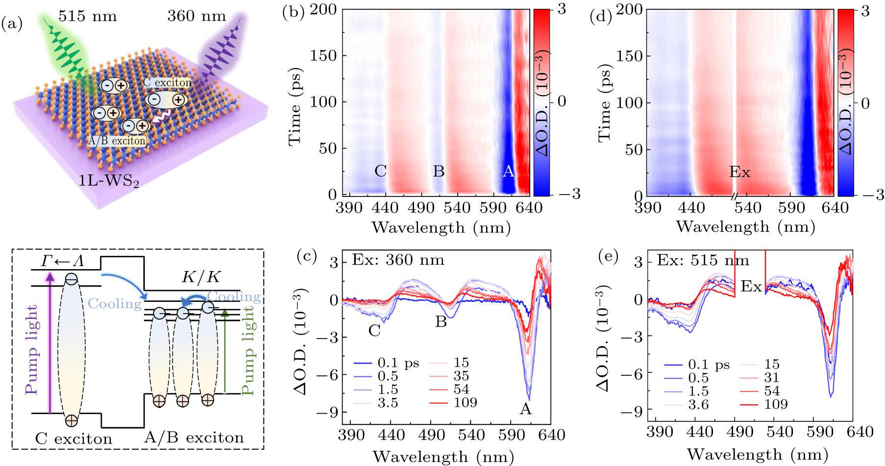 Probing high-energy and band-edge exciton dynamics in monolayer WS2 ...