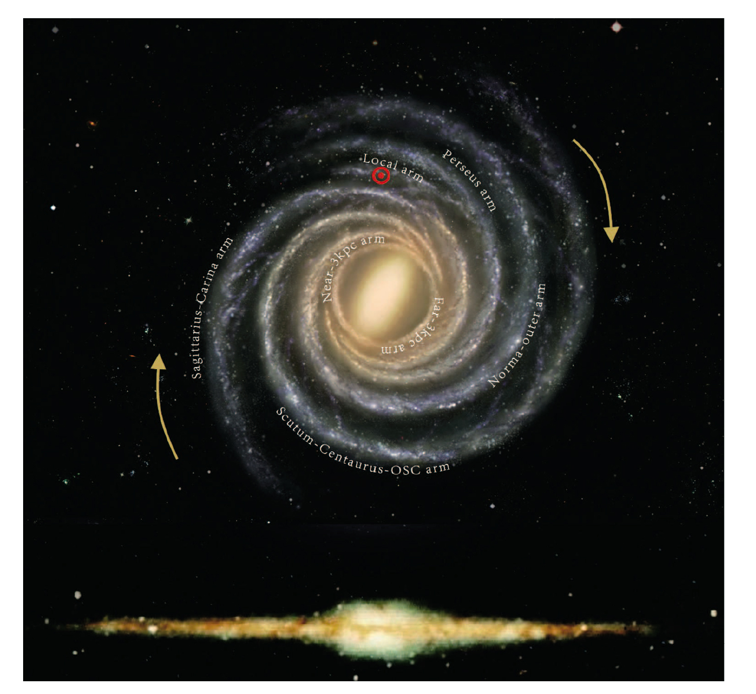 The bar and spiral arms in the Milky Way: structure and kinematics ...