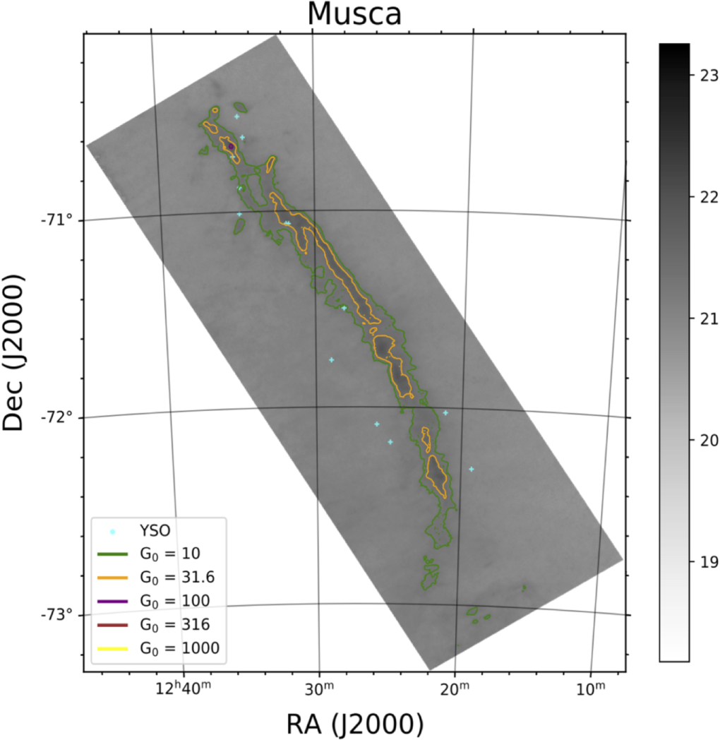 The Distribution of UV Radiation Field in the Molecular Clouds of Gould ...