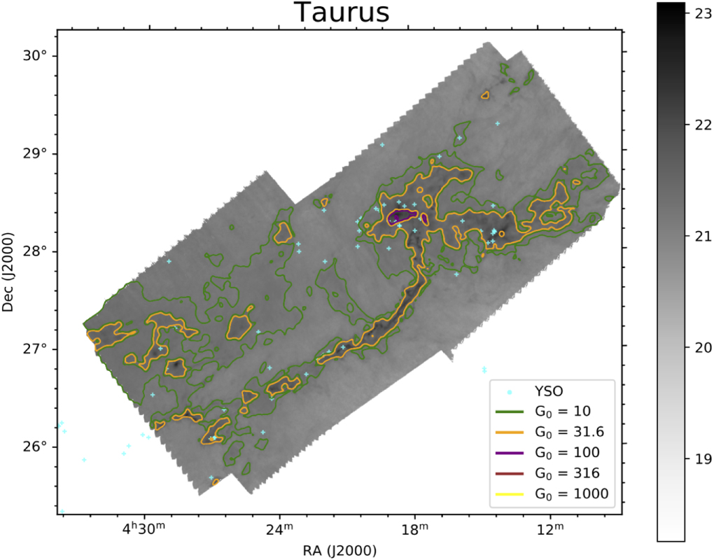 The Distribution of UV Radiation Field in the Molecular Clouds of Gould ...