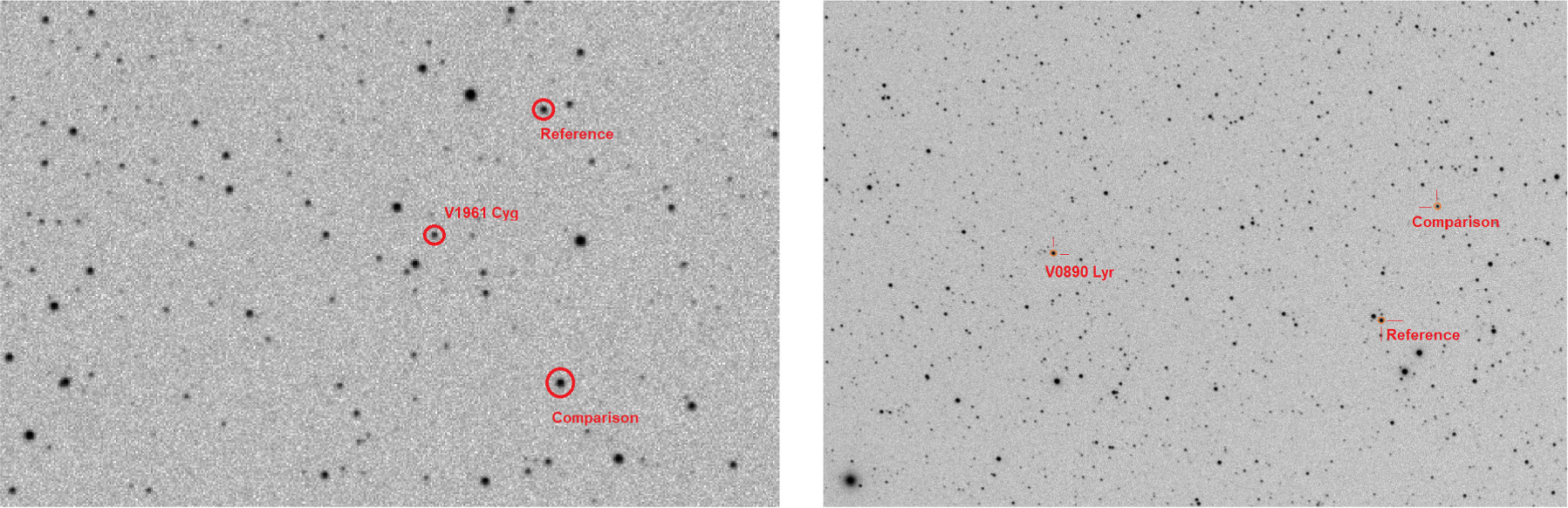 BSN: The First Photometric Analysis of Contact Binary Systems V1961 Cyg ...