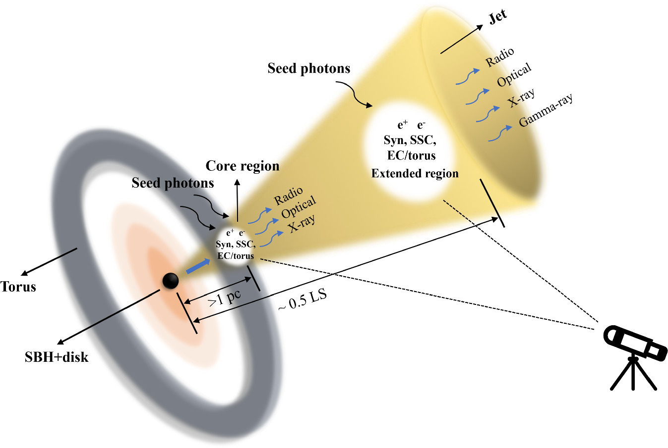 Lobe-dominated γ-Ray Emission of Compact Symmetric Objects - IOPscience