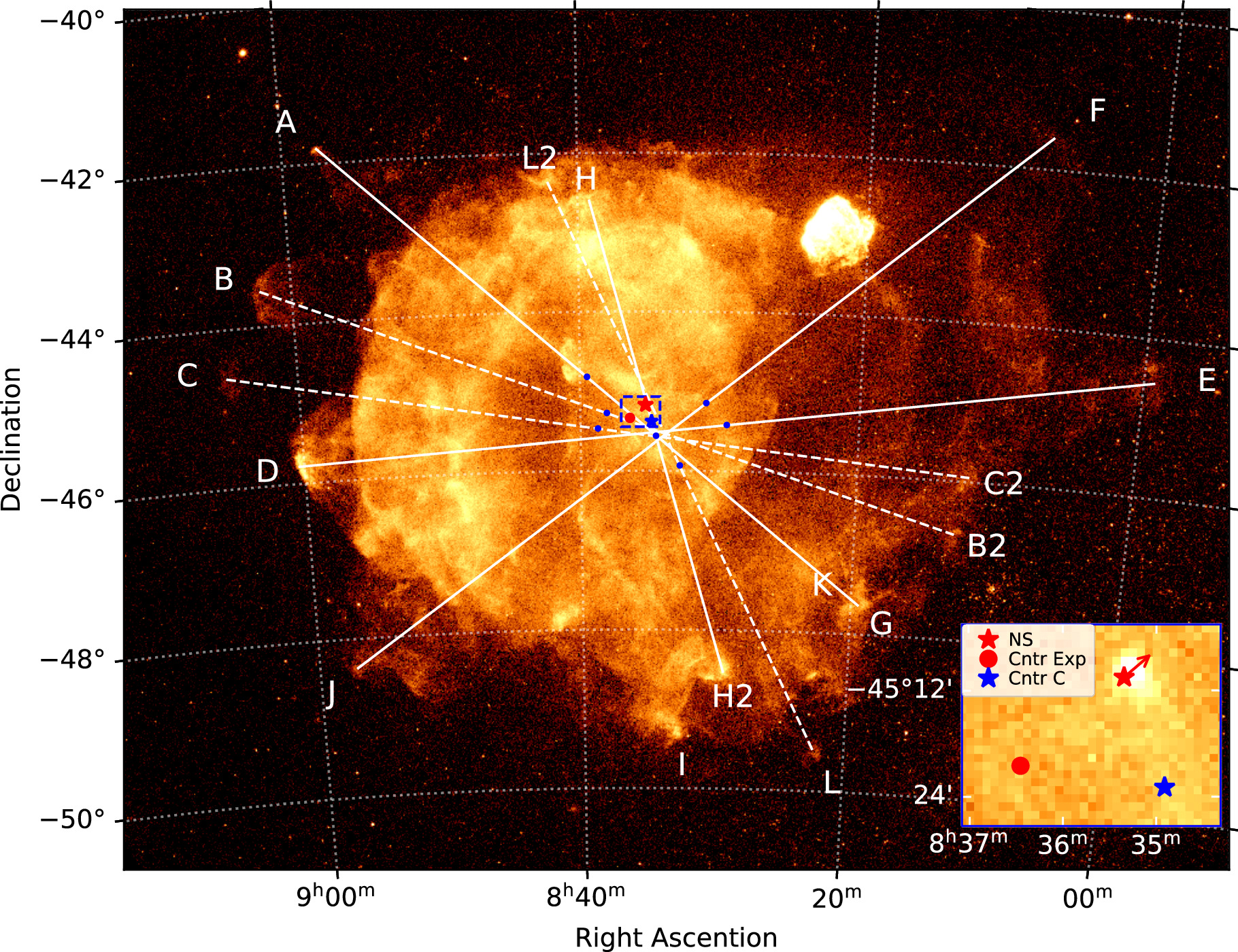 The Vela Supernova Remnant: The Unique Morphological Features of ...