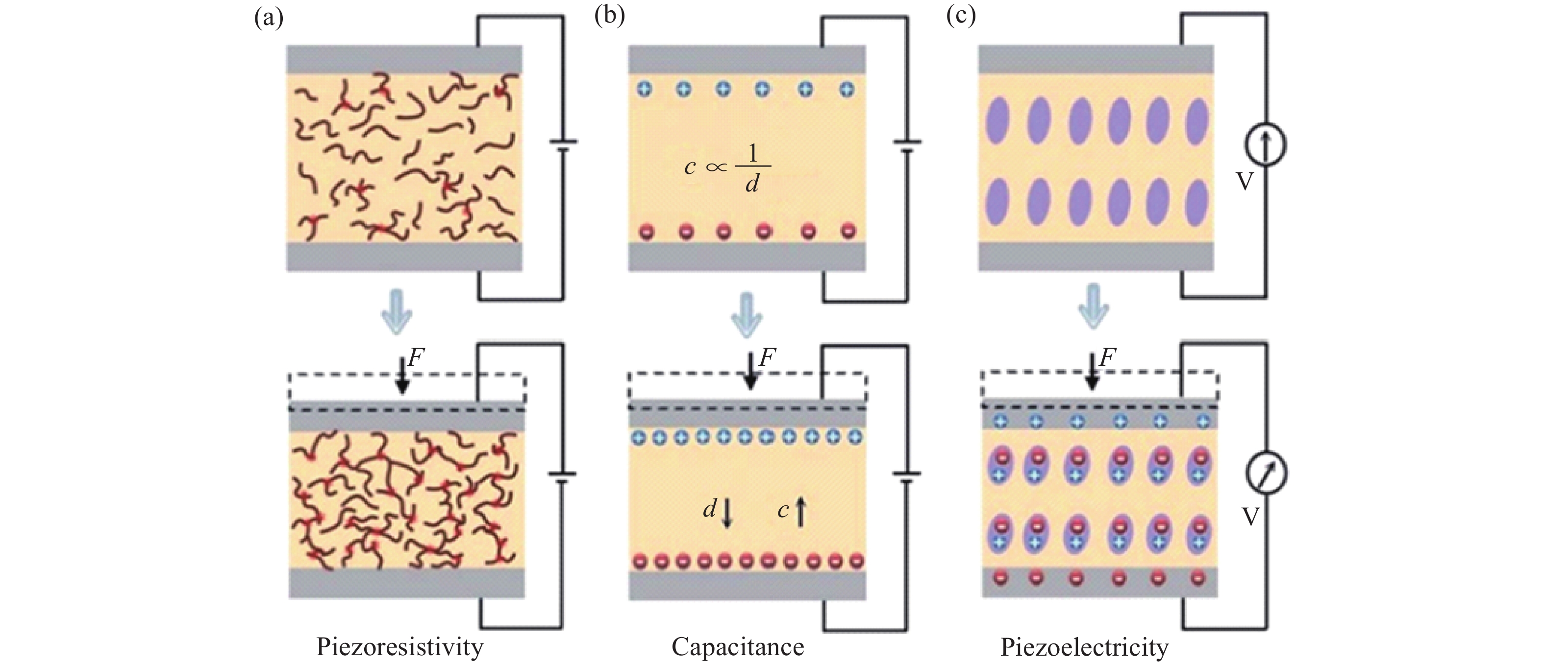 Recent progress of flexible and wearable strain sensors for human ...