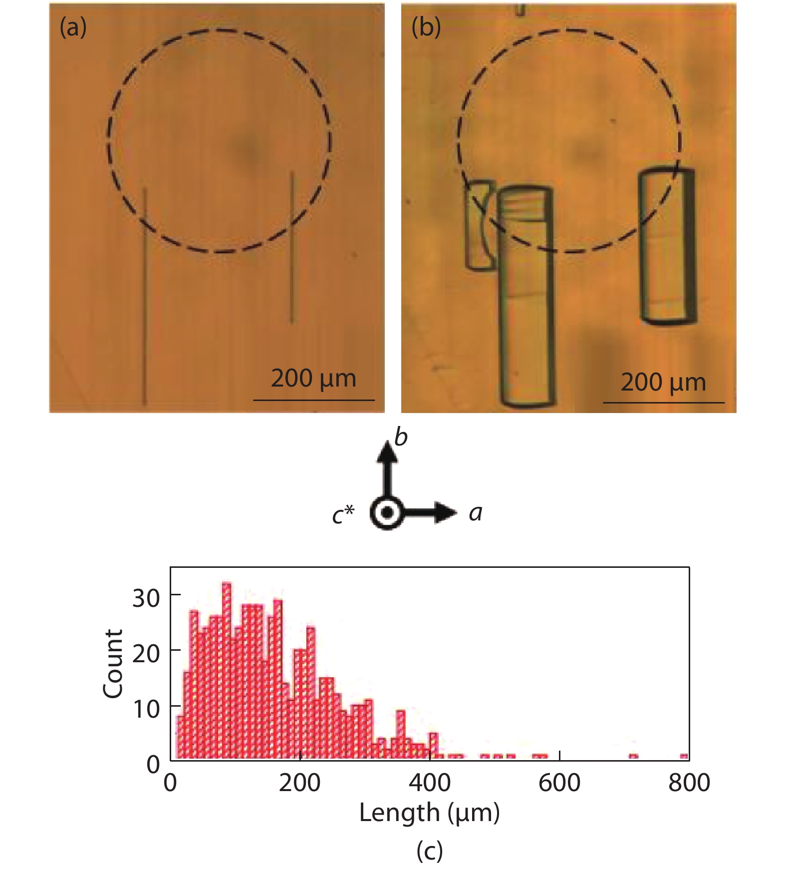 A review of β-Ga2O3 single crystal defects, their effects on device ...