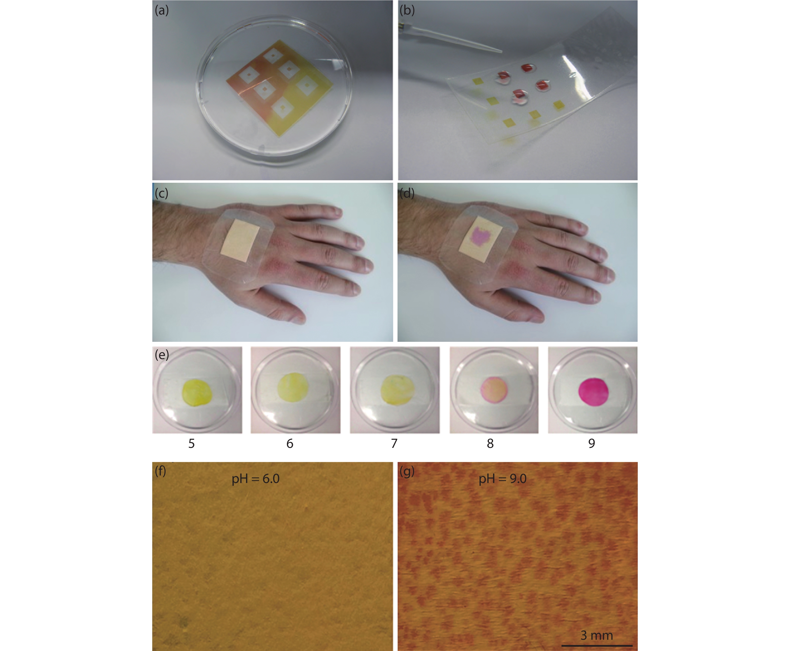 Advances in flexible and wearable pH sensors for wound healing ...