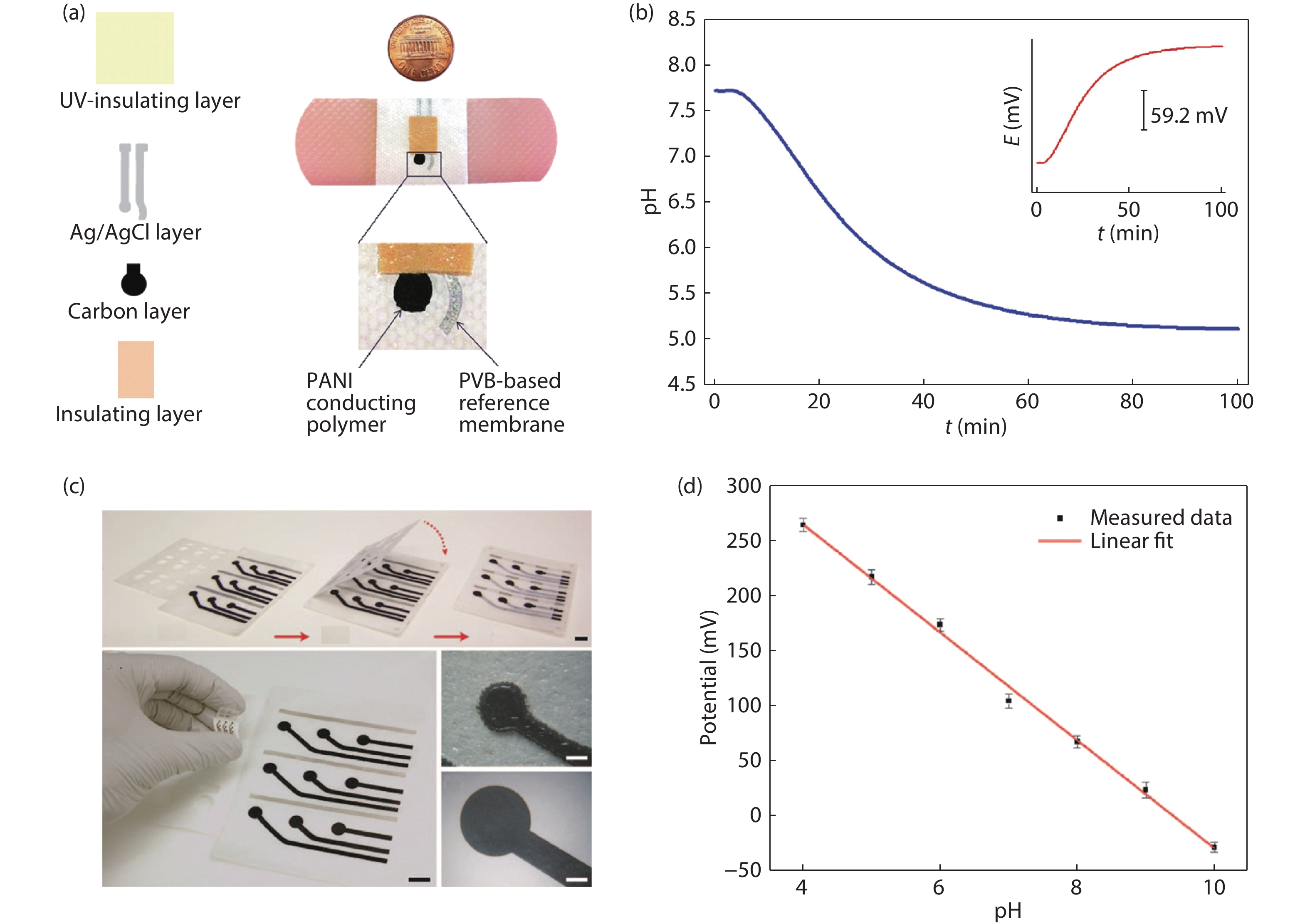 Advances in flexible and wearable pH sensors for wound healing ...