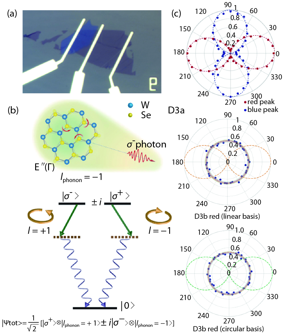 Single photon-chiral phonon entanglement in monolayer WSe2 - IOPscience