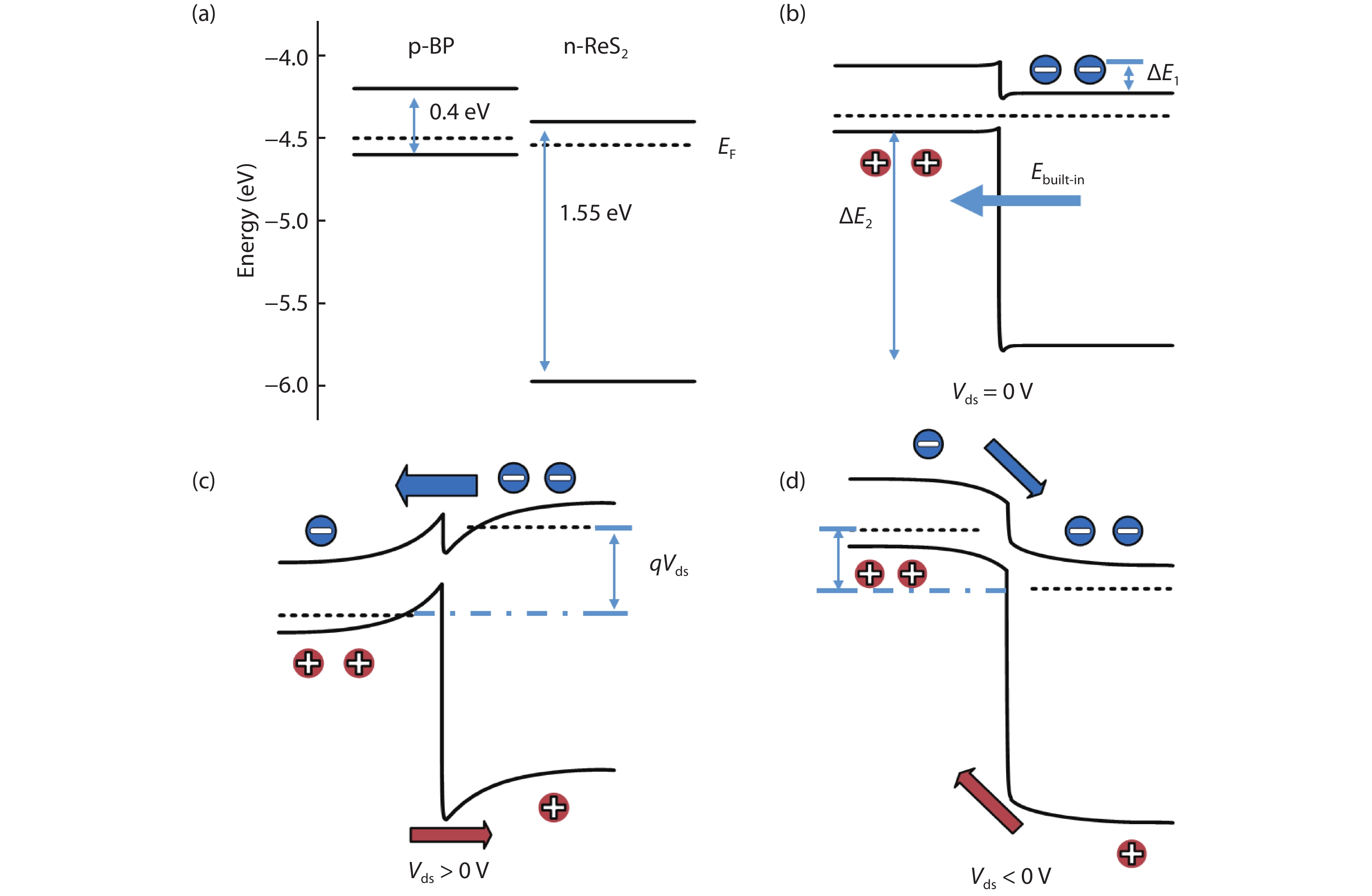 Broadband polarized photodetector based on p-BP/n-ReS2 heterojunction ...