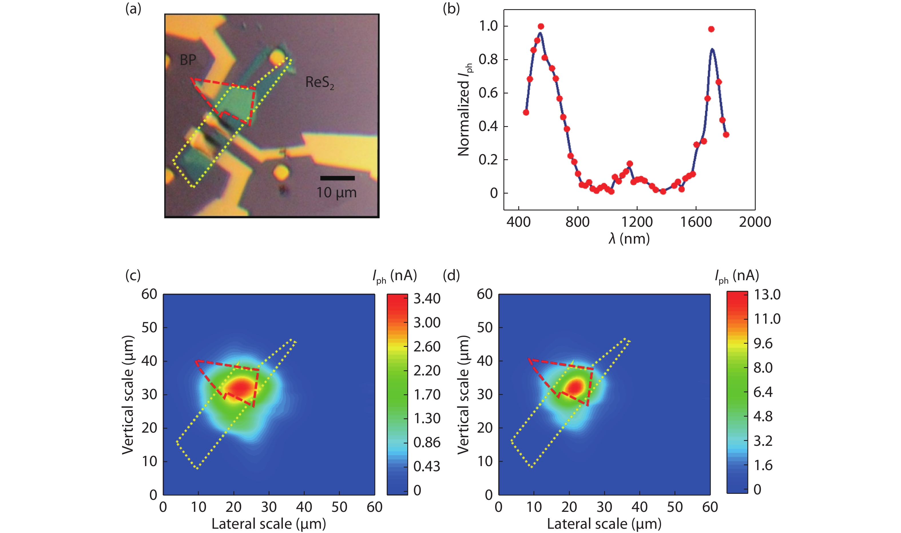 Broadband polarized photodetector based on p-BP/n-ReS2 heterojunction ...