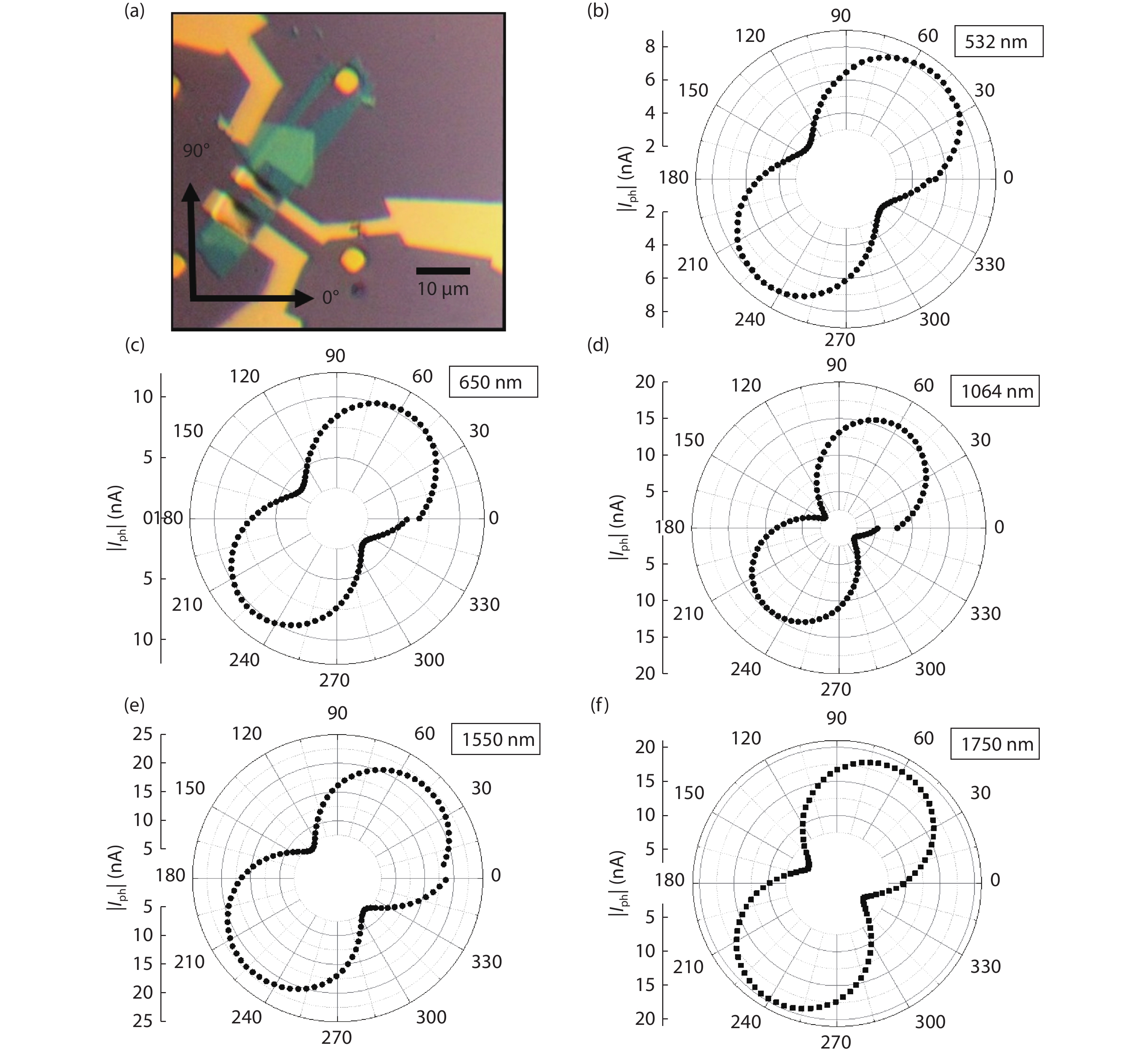 Broadband polarized photodetector based on p-BP/n-ReS2 heterojunction ...