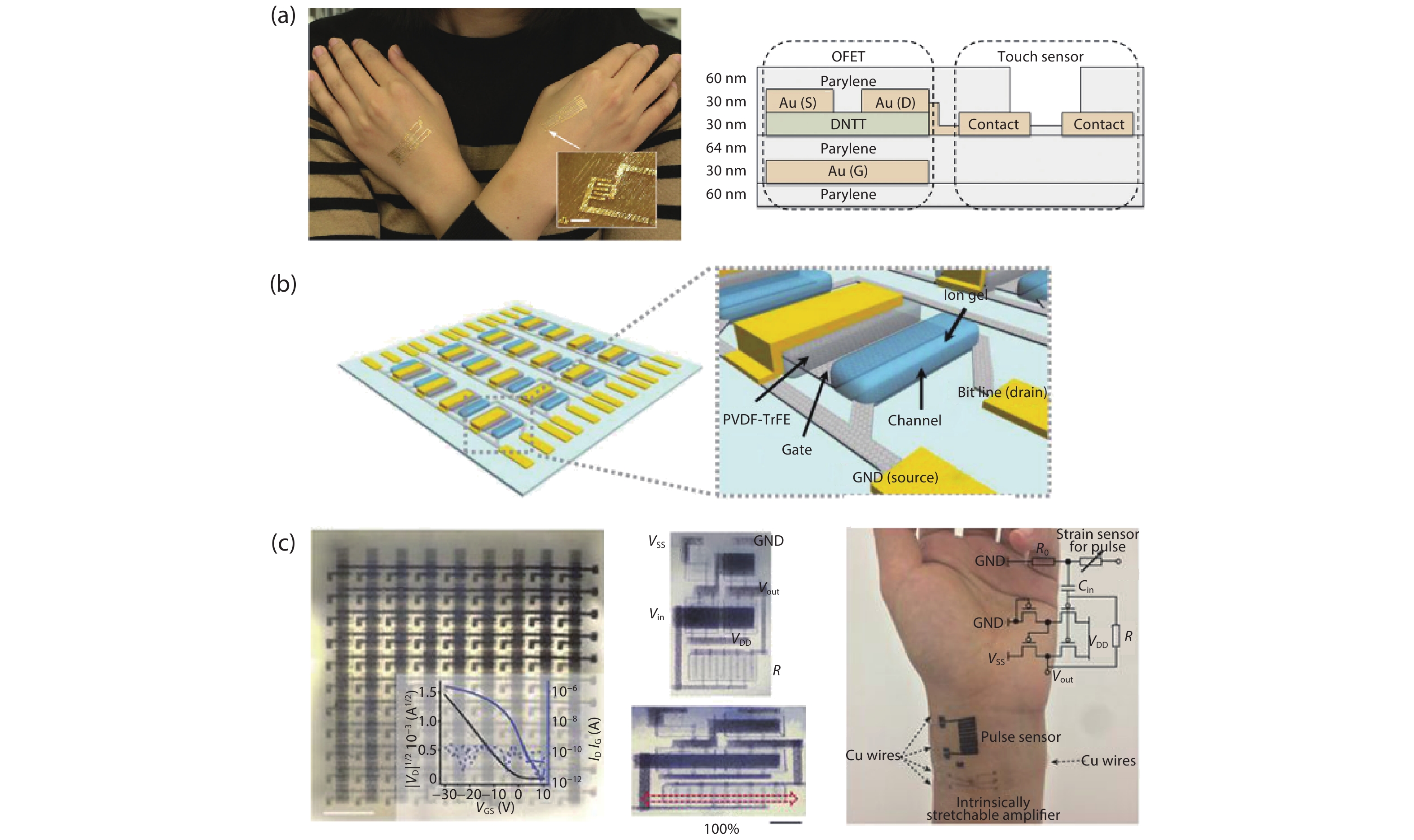 Skin-inspired electronics: emerging semiconductor devices and systems ...