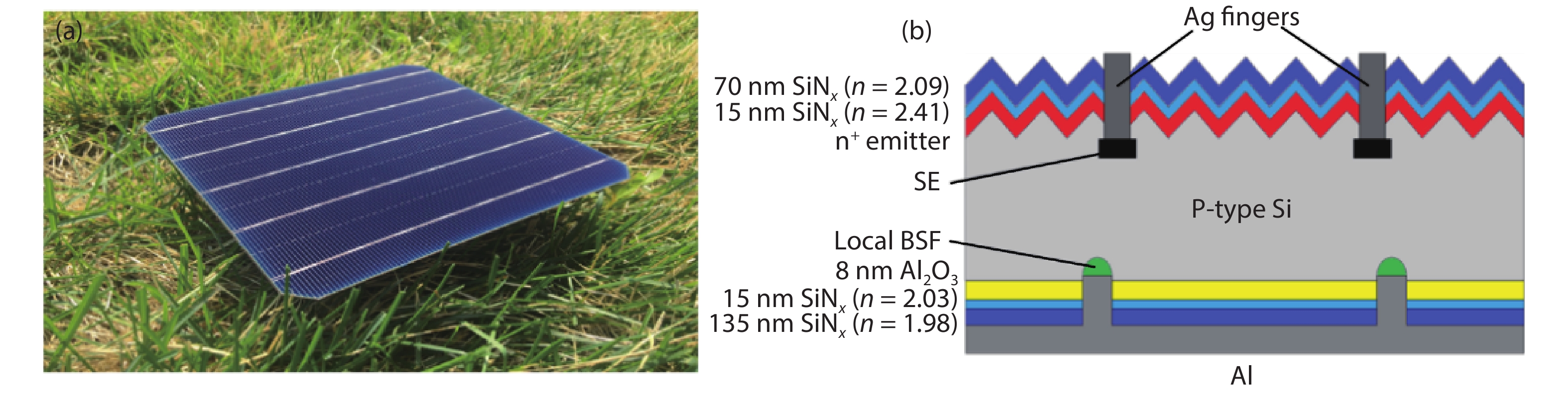 Numerical study of mono-crystalline silicon solar cells with passivated ...