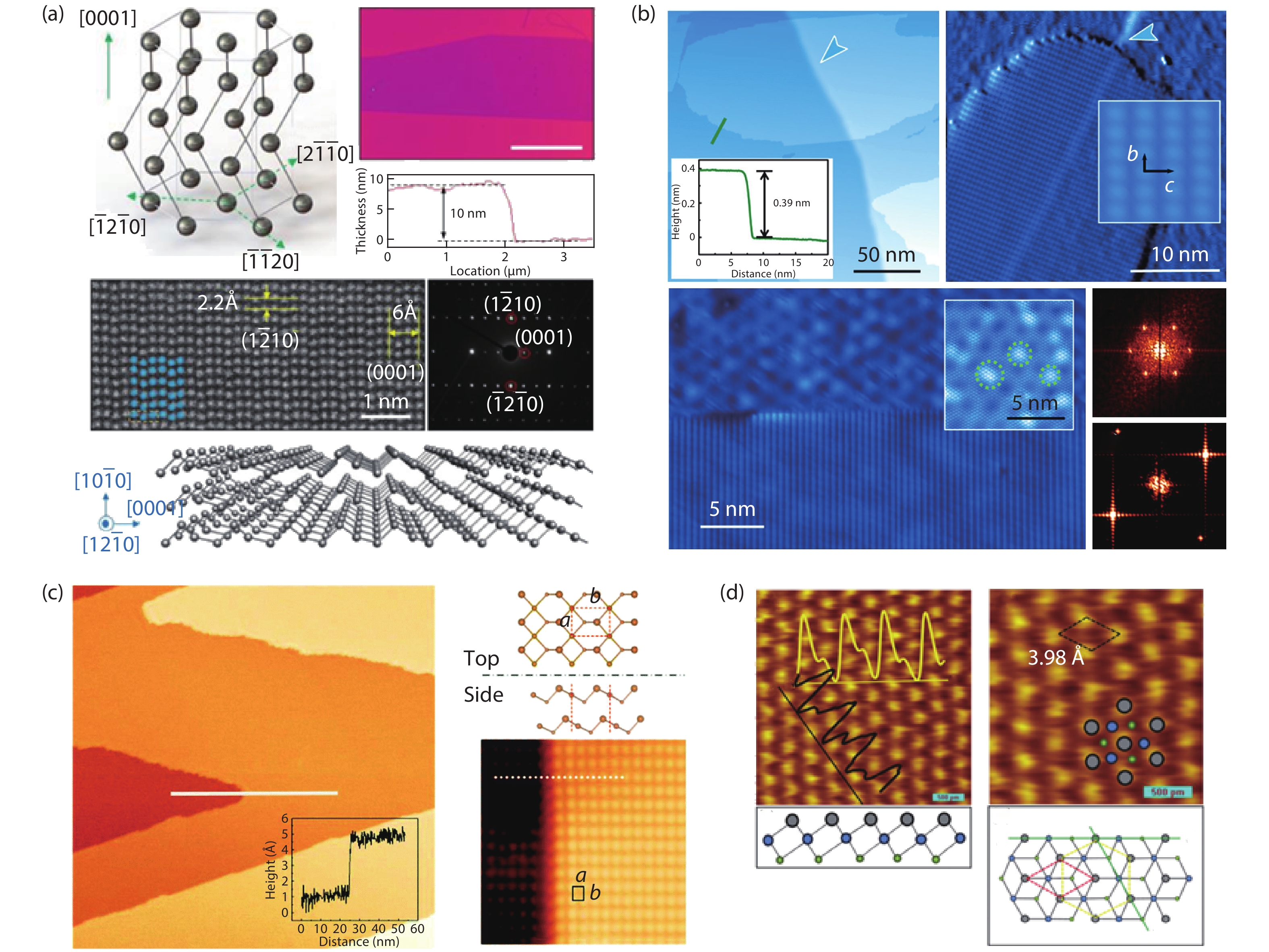 Tellurene: An elemental 2D monolayer material beyond its bulk phases ...
