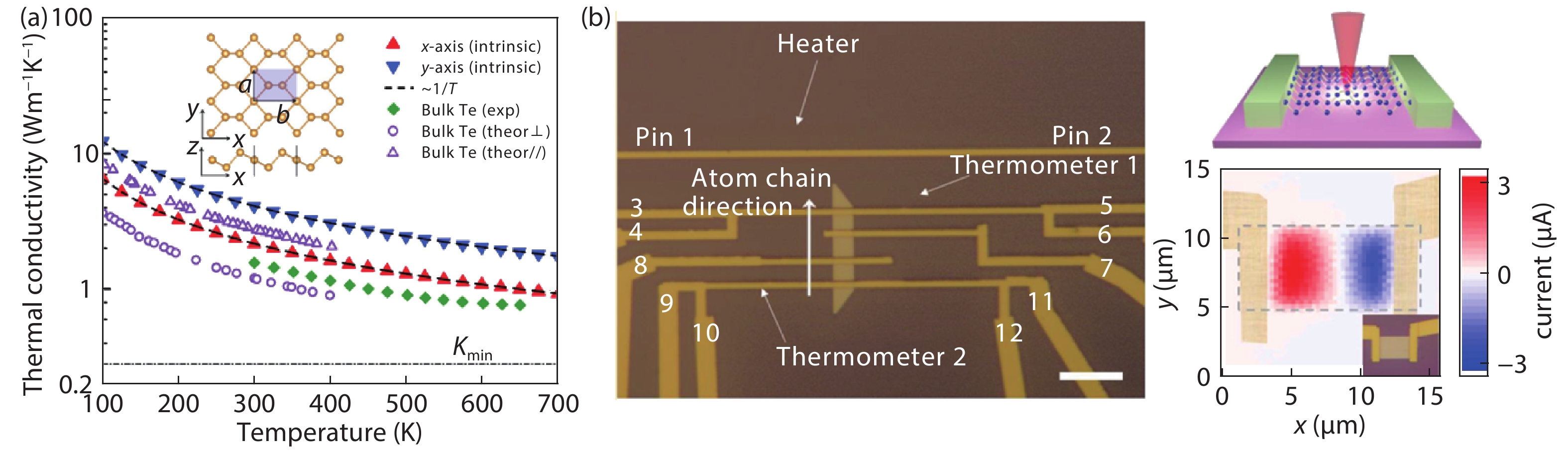 Tellurene: An elemental 2D monolayer material beyond its bulk phases ...