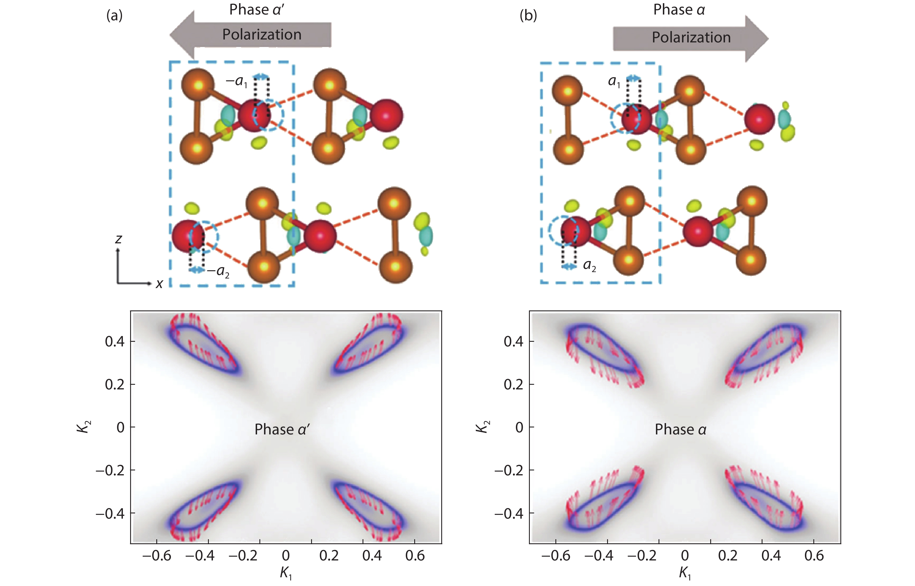 Tellurene: An elemental 2D monolayer material beyond its bulk phases ...