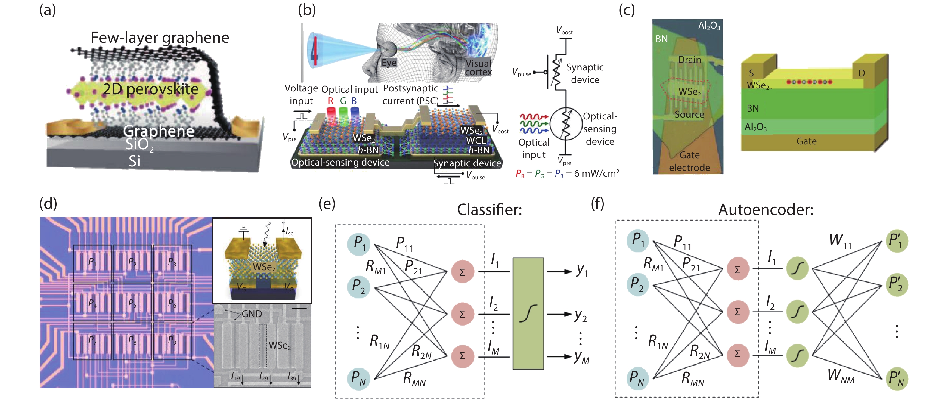 Neuromorphic vision sensors: Principle, progress and perspectives - IOPscience