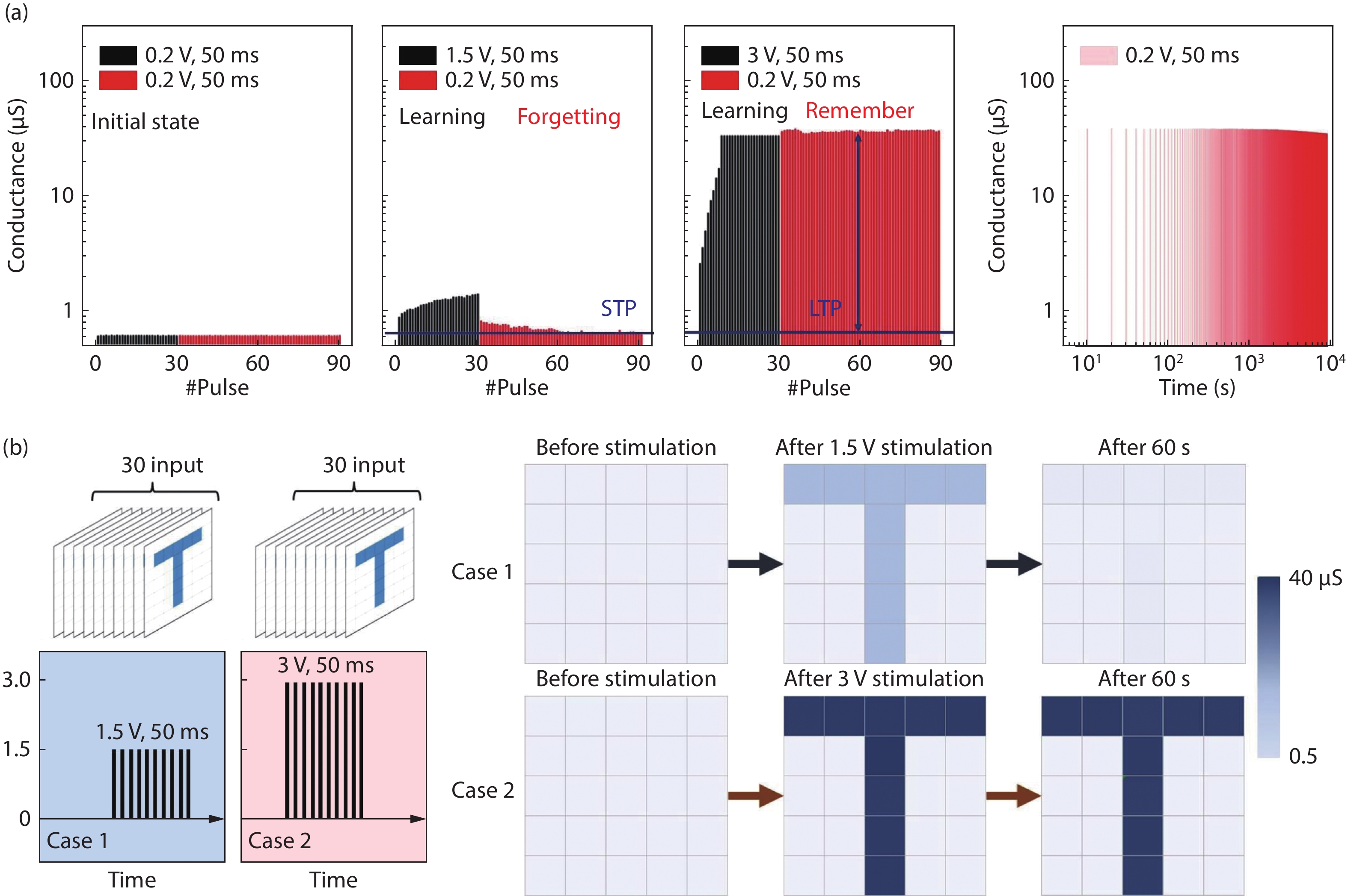 Voltage-dependent plasticity and image Boolean operations realized in a WO x -based memristive ...