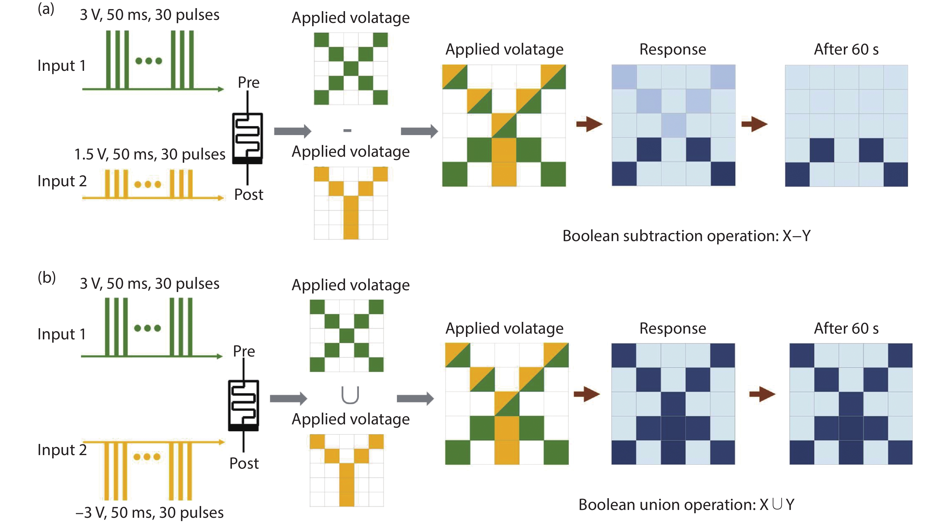 Voltage-dependent plasticity and image Boolean operations realized in a WO x -based memristive ...
