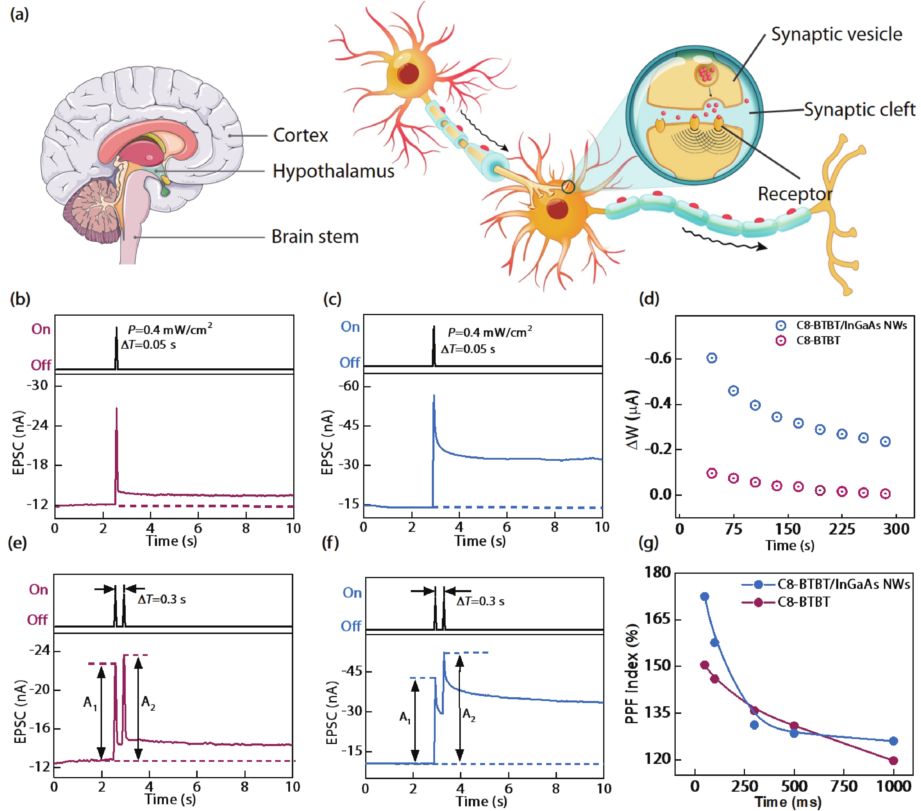Hybrid C8-BTBT/InGaAs nanowire heterojunction for artificial photosynaptic transistors - IOPscience