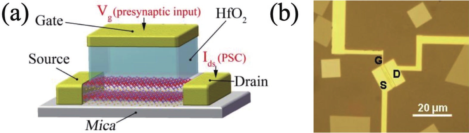 Preparation, properties, and applications of Bi2O2Se thin films: A ...