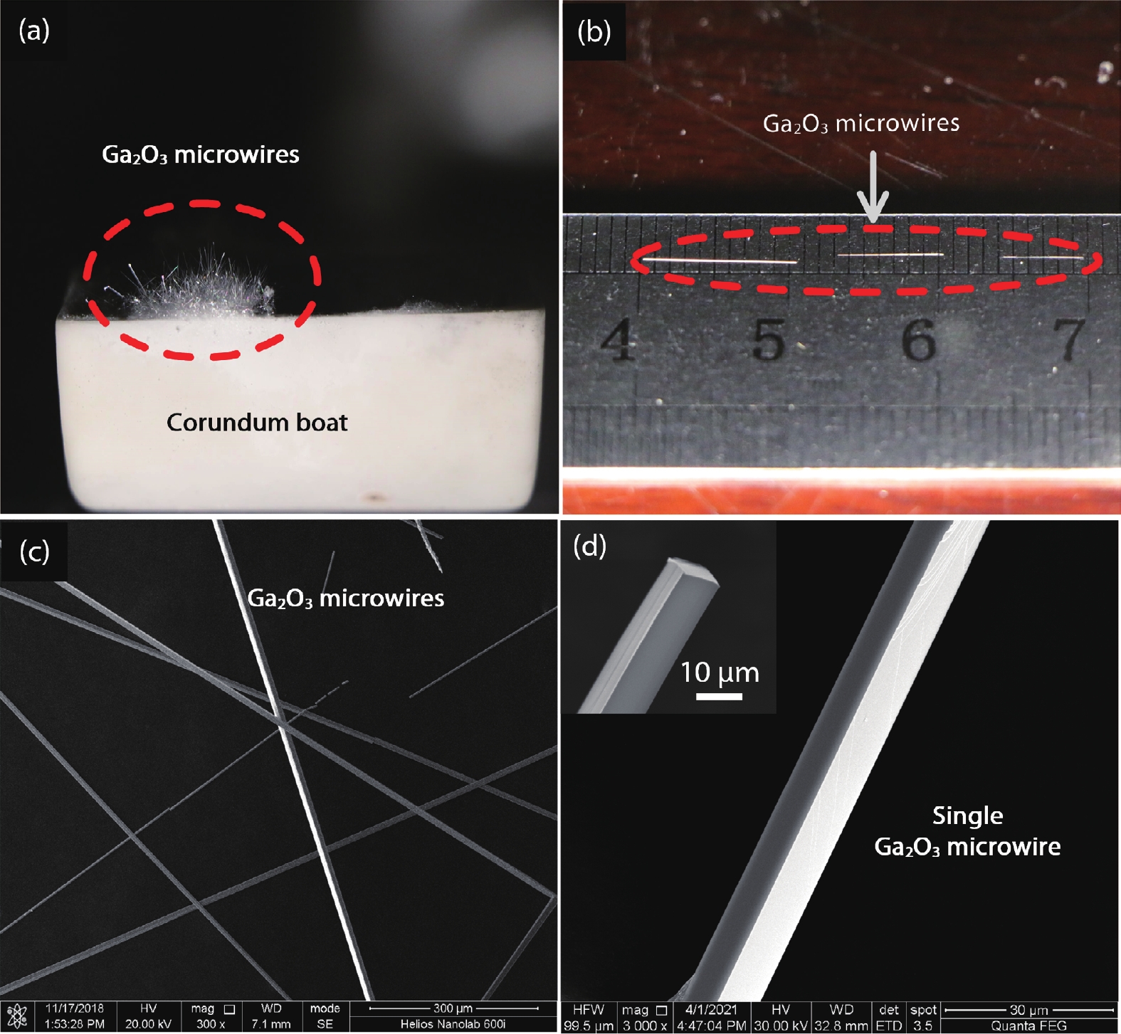 Preparation and photodetection performance of high crystalline quality ...