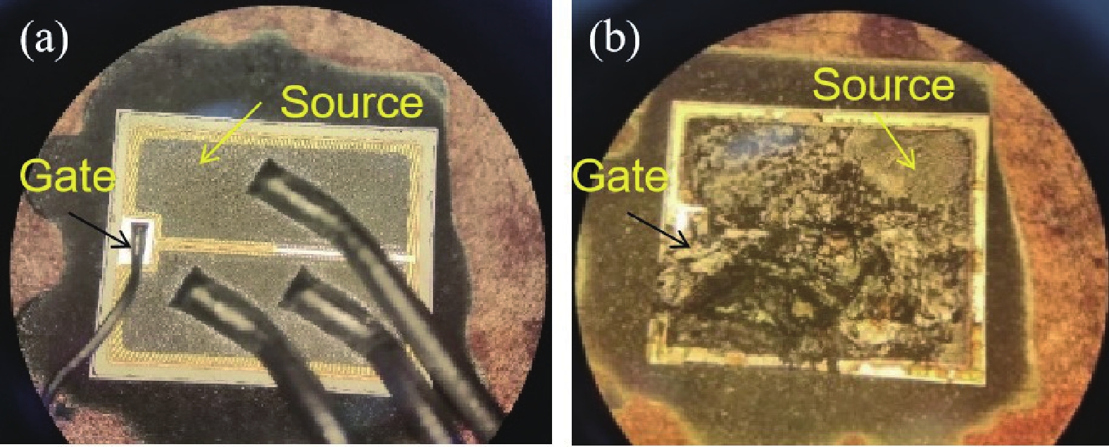 Short-circuit failure modes and mechanism investigation of 1200 V ...