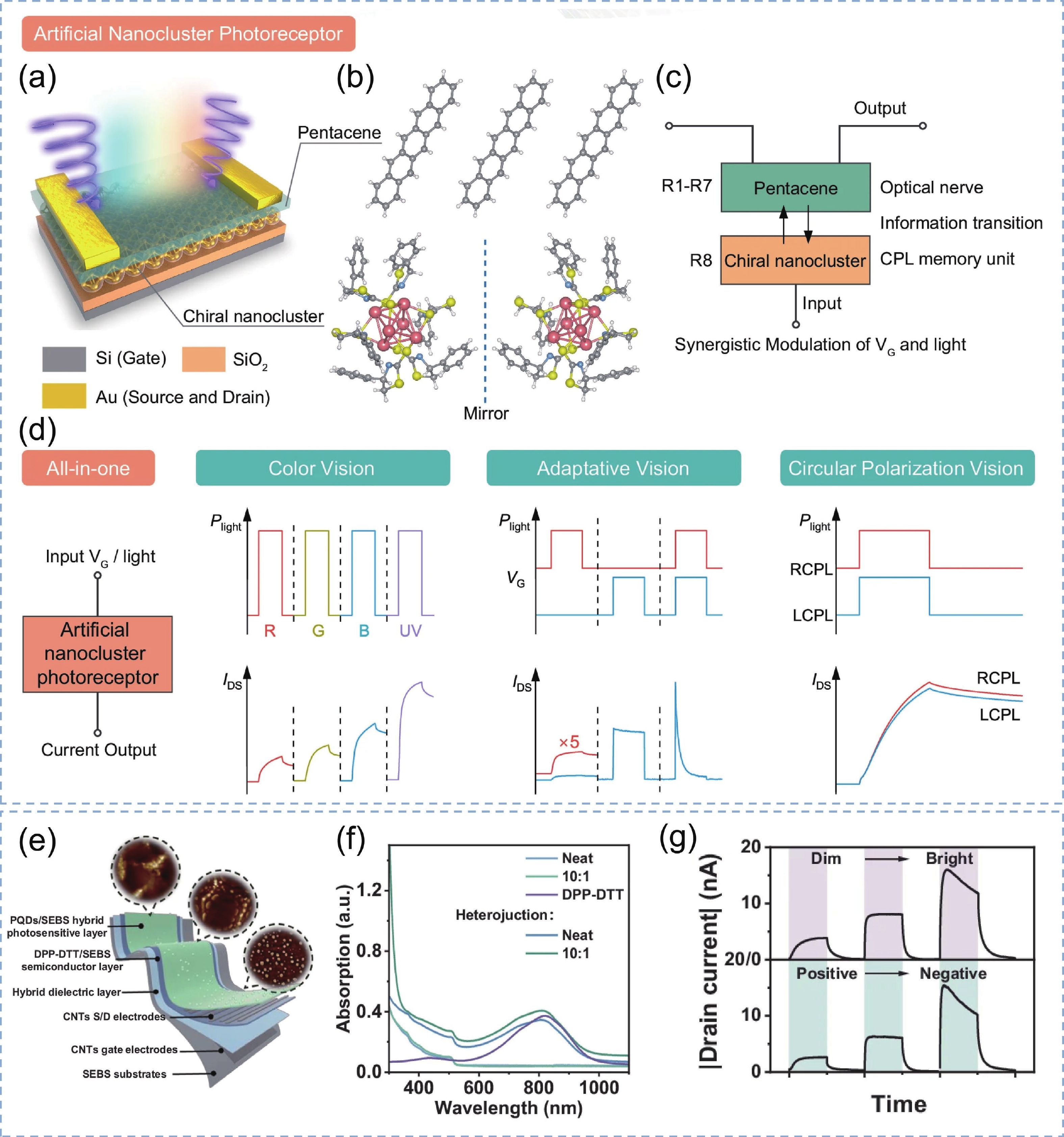 Adaptive optoelectronic transistor for intelligent vision system ...
