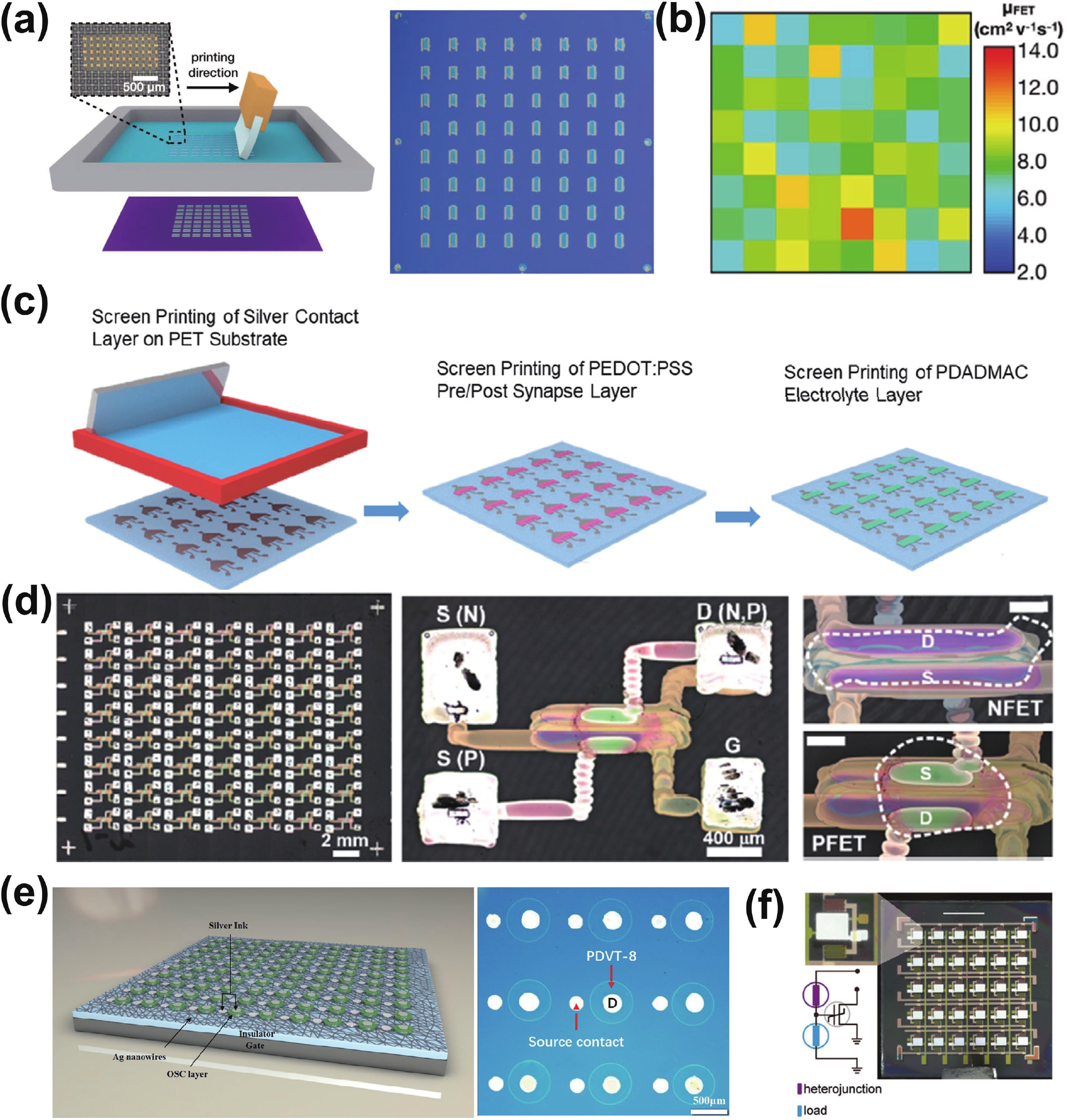 Recent progress in organic optoelectronic synaptic transistor arrays ...