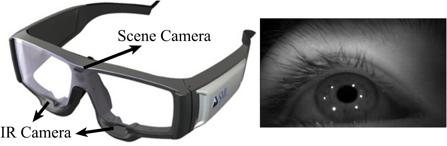 A multimodal approach to estimating vigilance using EEG and forehead EOG - IOPscience