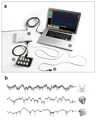 Open Ephys: an open-source, plugin-based platform for multichannel ...