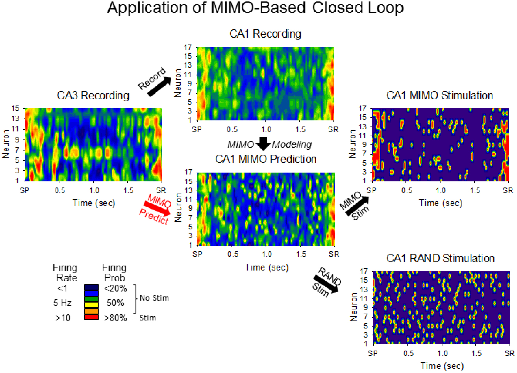 Developing a hippocampal neural prosthetic to facilitate human memory ...