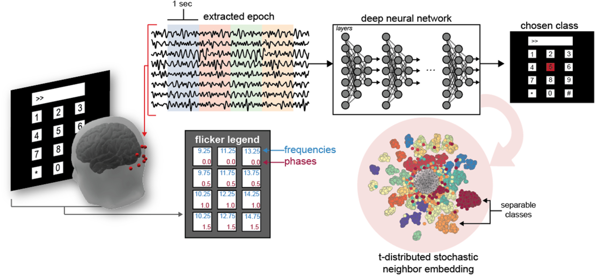 Compact convolutional neural networks for classification of asynchronous steady-state visual ...
